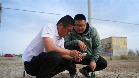 良种配良法 盐碱地破“碱”重生 学术资讯 科技工作者之家