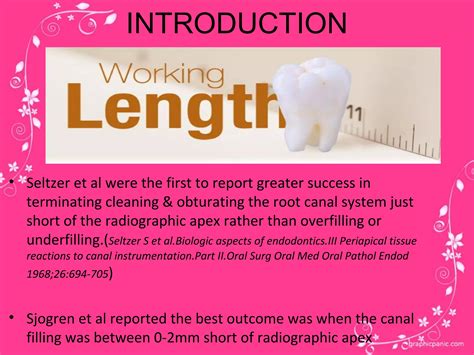 Working Length Determination Ppt