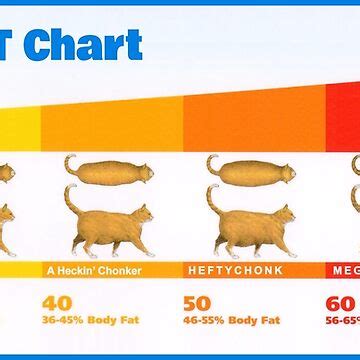 Chubby Chonky Cat Chart Funny Chonk Meme Oh Lawd He Comin Coffee