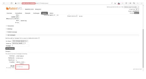 一些你会忘记的rabbitmq集群和仲裁队列小知识点 阿里云开发者社区