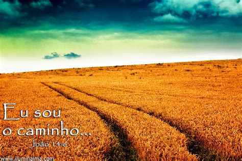 João 14 6 Respondeu lhe Jesus Eu sou o caminho e a verdade e a vida