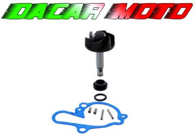Water Pump Repair Kit Rieju Mrt 50 Freejump Cross 2014 2015 2016 2017