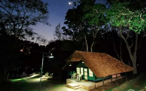 11 Things To Do In Mysore At Night Enjoy Nightlife In Mysore Treebo