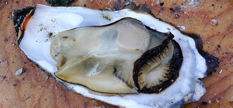 Best Aphrodisiac Foods For Men And Women Gayot