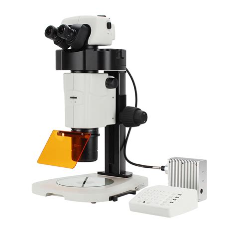 Wholesale The Light Microscope Manufacturer And Supplier Factory