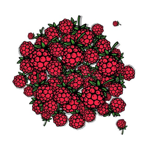 Raspberry Frame Sketch For Your Design Stock Vector Illustration Of
