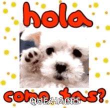 Hola Tonotos Meme Meme Hola Tonotos Meme Funny Discover And Share S