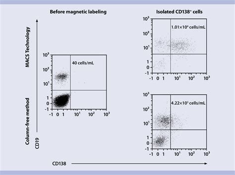 Basic Principle Of Magnetic Cell Separation Miltenyi Biotec Miltenyi Biotec 中国