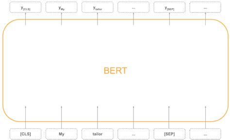 Comparison Between Bert And Gpt 3 Architectures Baeldung On Computer Science