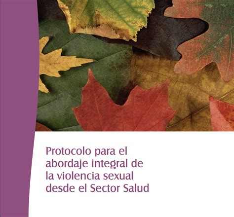 Protocolo Para El Abordaje Integral De La Violencia Sexual Desde El