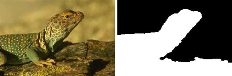 Roi Segmentation In A Low Dof Image Left Low Dof Image And Right Roi