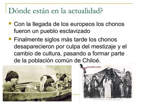 Los Chonos Anatomia Y Fisiologia Antisepsia Fisiología