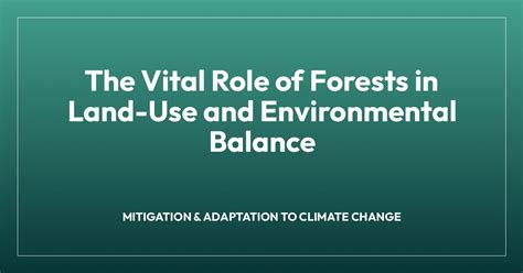 The Vital Role Of Forests In Land Use And Environmental Balance