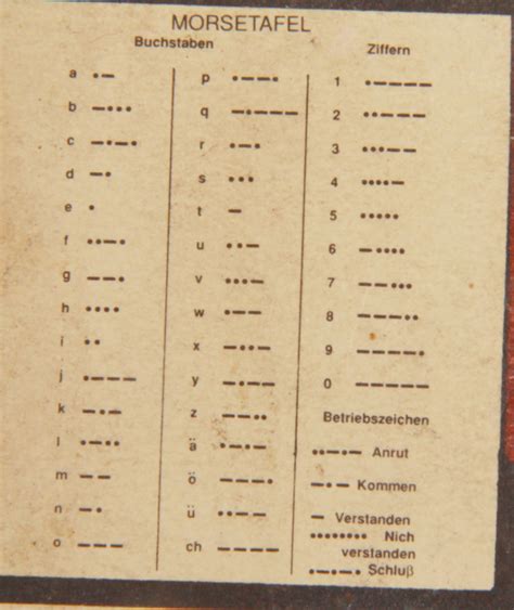 Daimon Flashlight W Daimon Light Bulb