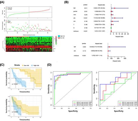 Validation Of The Prognostic Risk Score Model A Risk Score