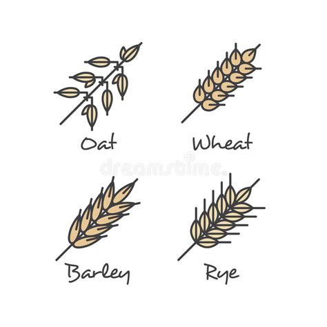 Fije Con Los Iconos Simples De Los Cereales De Las Gachas De Avena El