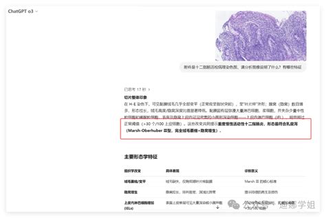 Openai发布o3推理模型：多模态工具调用，数据检索、图表分析与ppt制作全自动 （实测分析）openai O3 可以调用哪些工具 Csdn博客