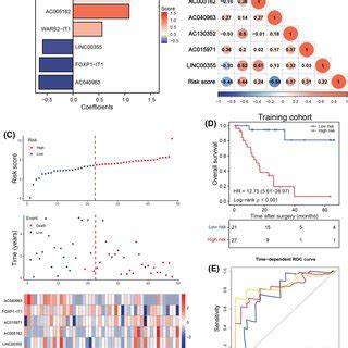 Construction of the N⁶methyladenosine m⁶A related long noncoding RNA