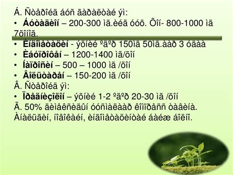 тулай өвчин