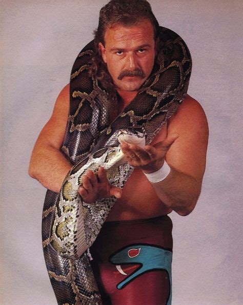 455 Best Classic Wwf Wrestling Images Professional Wrestling