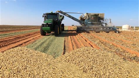 Peanut Harvesting Equipment