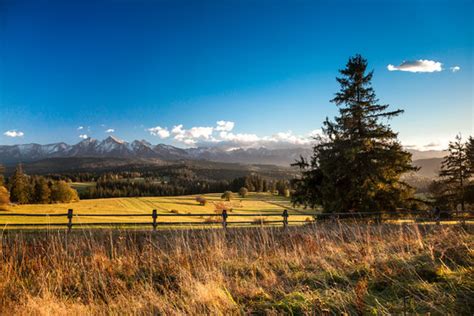 Kacwin Bilder Durchsuchen 70 Archivfotos Vektorgrafiken Und Videos
