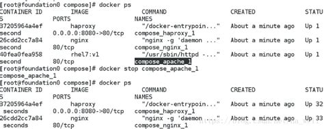 Docker孤立卷 数据卷容器 静态数据 私有仓库 Docker Compose整合服务实现负载均衡 Swarm集群及负载均衡