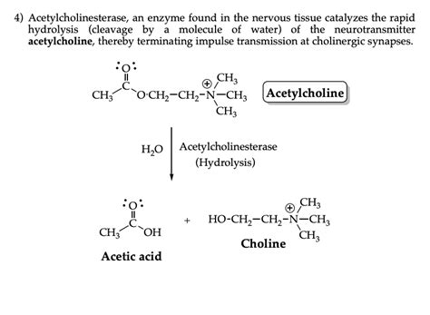 Solved 4 Acetylcholinesterase An Enzyme Found In The