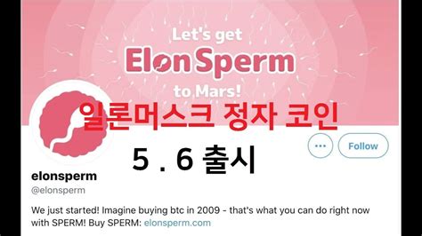 일론머스크 정자코인 출시 ㅋㅋㅋ Elonsperm Youtube
