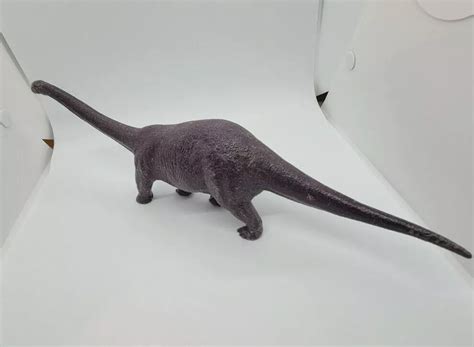Cetiosaurus