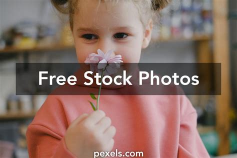 Daisy Portrait Photos Download The Best Free Daisy Portrait Stock
