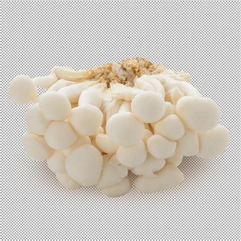 Premium Psd Bunapi Mushroom White Beech Mushrooms Shimeji Mushroom
