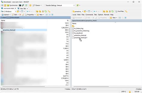 How To Check Your Avamars Health With Proactivecheck