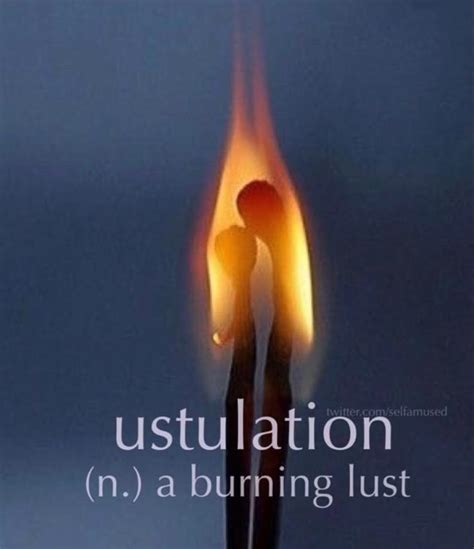 ᴗ･`♡ Pinterest Kaylalynnn1223 In 2024 Unusual Words Weird Words Uncommon Words