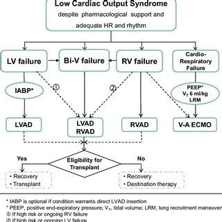 Mechanical Devices Used To Separate From Cardiopulmonary Bypass