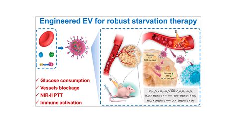 Engineered Enzyme Loaded Erythrocyte Vesicles Precisely Deprive Tumoral