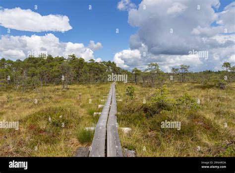 Estonian Nature Trail Hi Res Stock Photography And Images Alamy