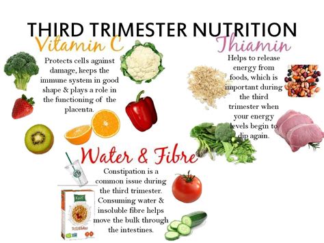 Best Foods To Eat While Pregnant Third Trimester You Have Grown Up