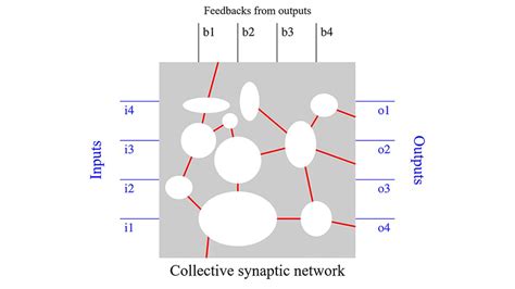 neuromorphic circuit can scale up more easily with disordered synapses aip