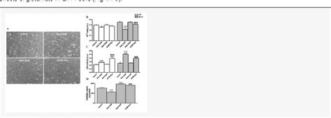 Figure 1 From Protection By Glia Conditioned Medium In A Cell Model Of