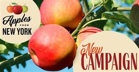New York Apple Associations Cynthia Haskins Details The Big Flavor