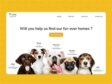 Pet Adoption Landing Page Design
