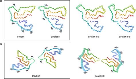 Schematic Representation Of The Distinct Forms Of Tmem106b Fibrils