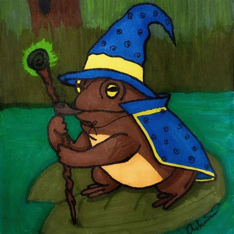 Toad Wizard Youtube