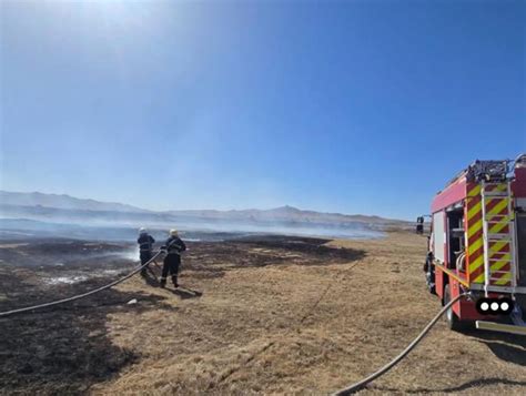 Дөрвөн түймрийг цурманд оруулжээ