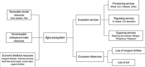Conceptual Framework For Evaluating The Agro Ecosystem Download