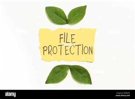 Using Internet Explorer Hi Res Stock Photography And Images Alamy