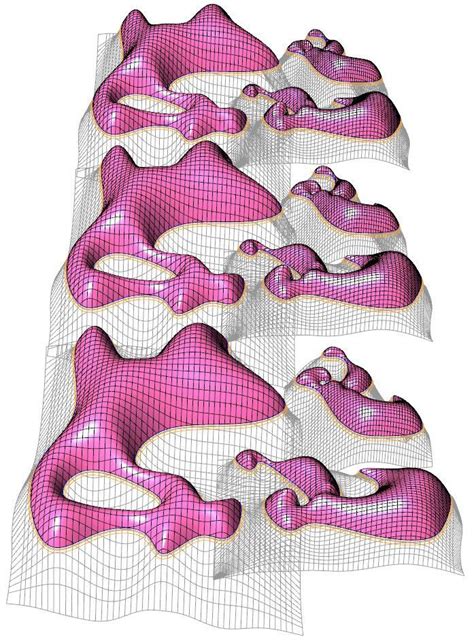 Дизайн упаковки Архитекторы Дизайн