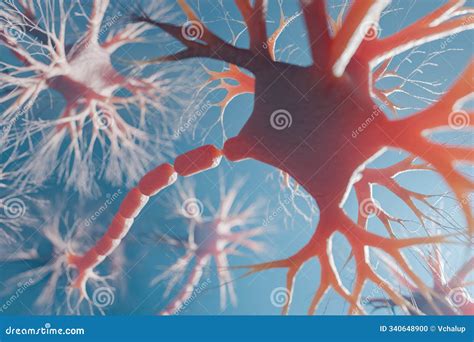 Neuron Nerve Cell Of Human Brain With Synapses Neurology Concept 3d Rendered Illustration