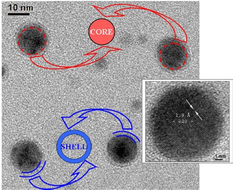 Evolution Of Microscopic Morphologyrepresentation Of Coreshell Download Scientific Diagram